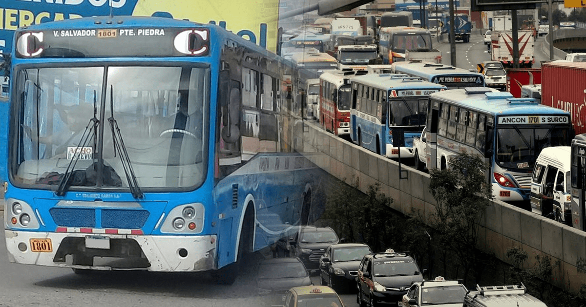 ¿Cómo se llama un autobús pequeño? | Que Visitar en España