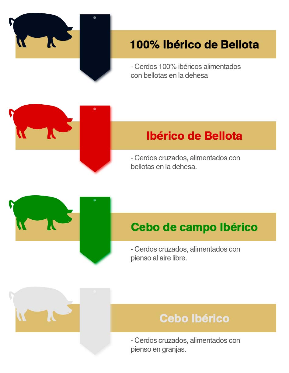 ¿Qué significan los colores de los precintos del jamón? | Que Visitar ...